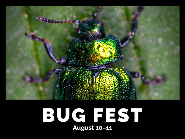Bug Fest - The Academy of Natural Sciences of Drexel University