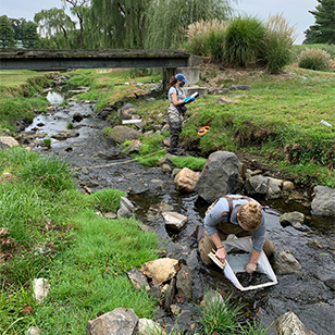 Macroinvertebrates | Research at The Academy of Natural Sciences of ...