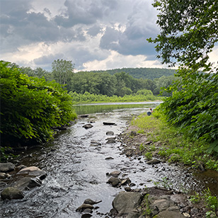 Macroinvertebrates | Research at The Academy of Natural Sciences of ...