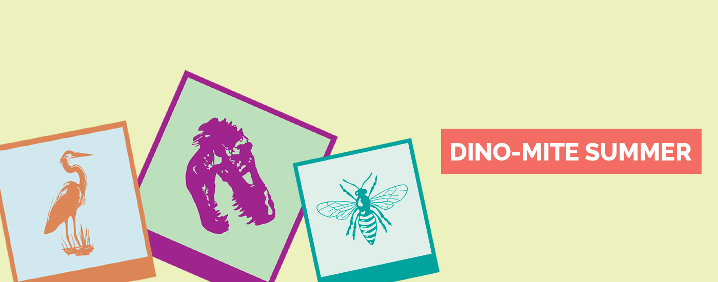 The Academy of Natural Sciences of Drexel University