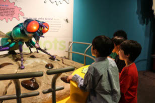 Animal Grossology - The Academy of Natural Sciences of Drexel University